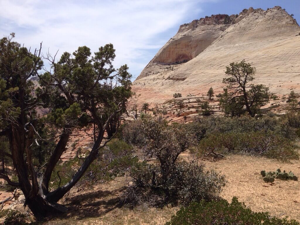 Swimming Hole und Many Pools im Zion – Reisen und Meer