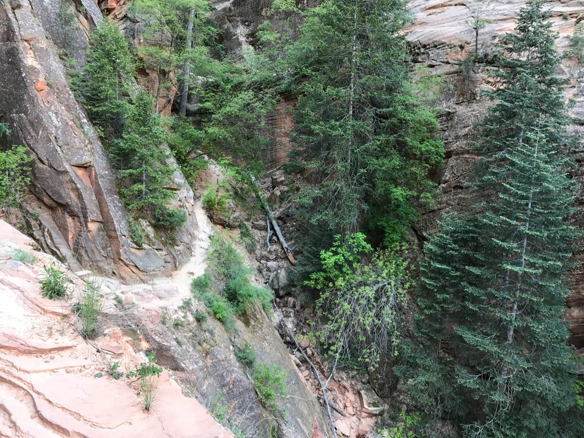 Tag 4: Wandern im Zion National Park – Reisen und Meer