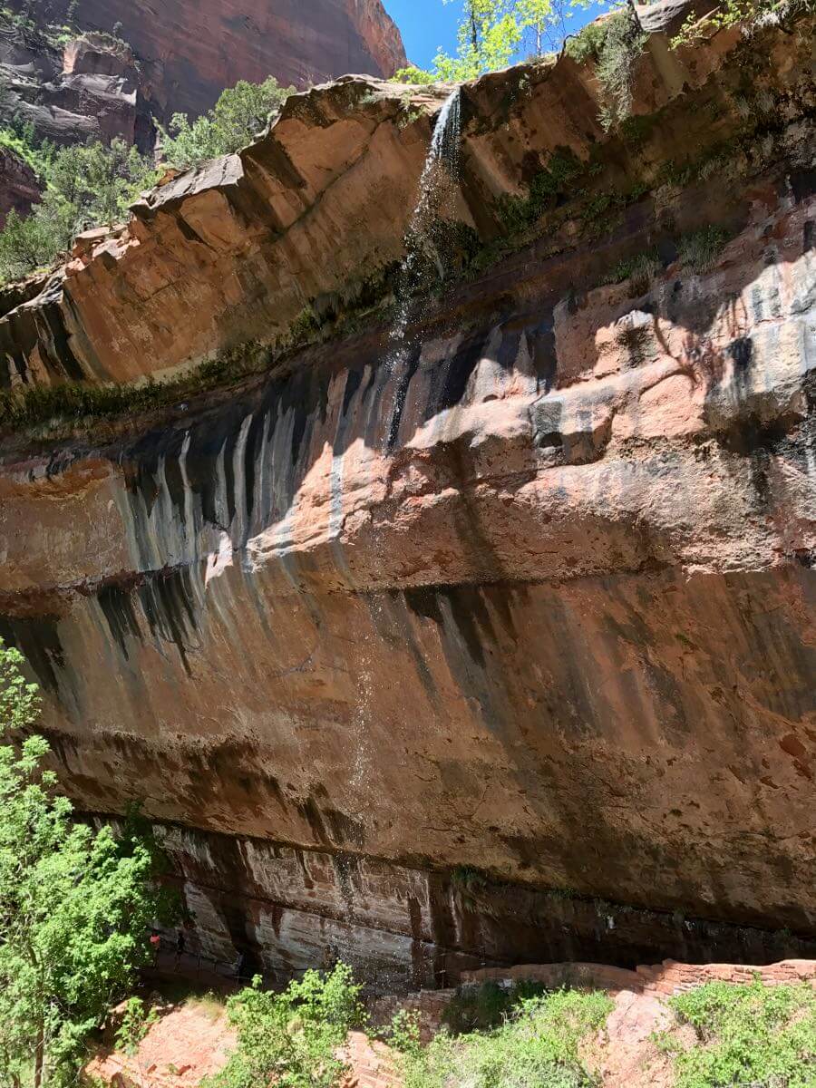 Tag 4: Wandern im Zion National Park – Reisen und Meer