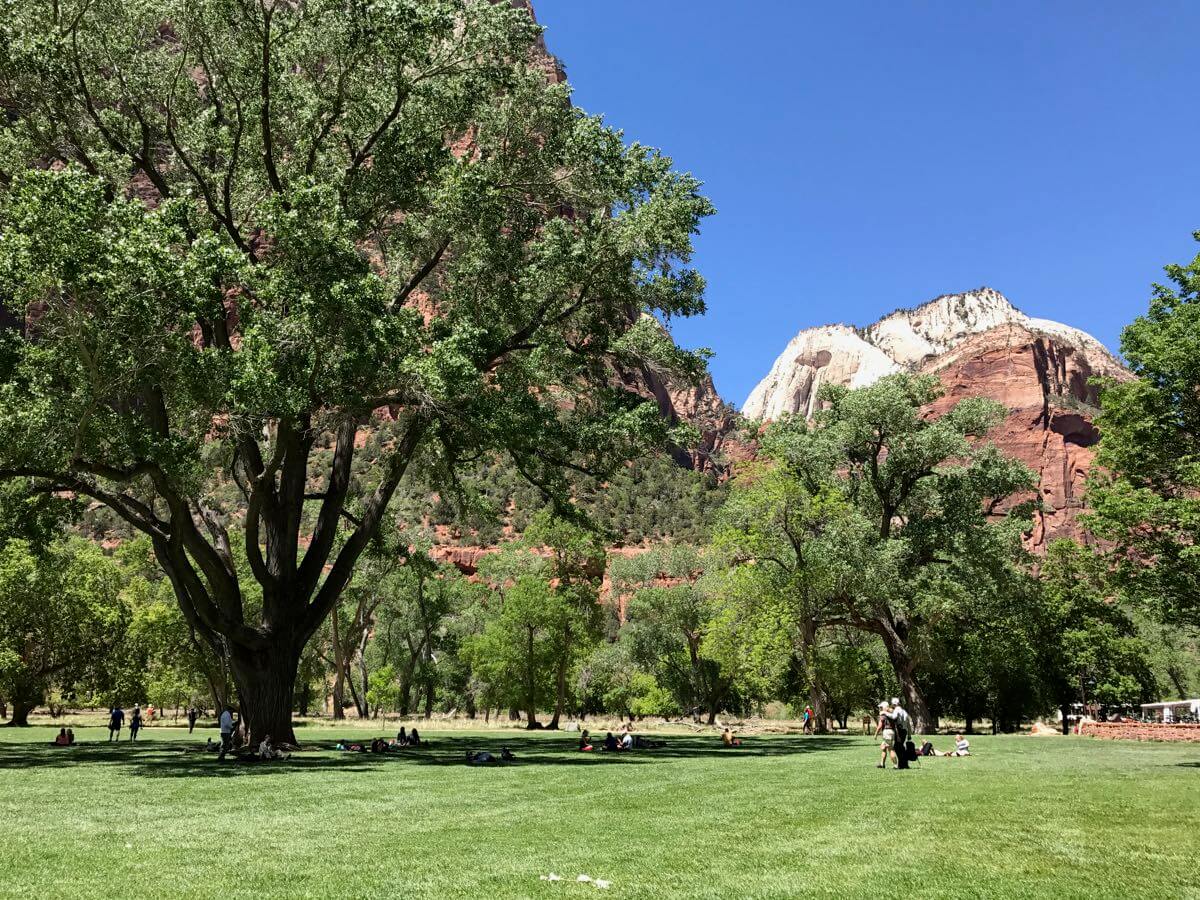 Tag 4: Wandern im Zion National Park – Reisen und Meer